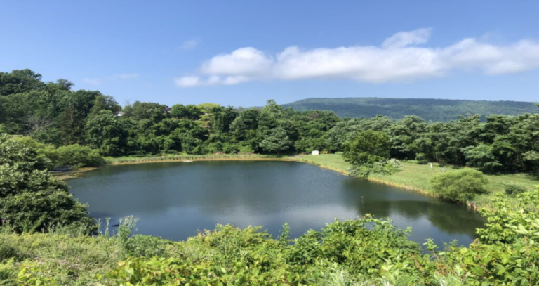 Outdoor Spaces – Northern Virginia 4-H Center